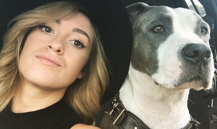 The Team — Jason The Dog Walker & Co.