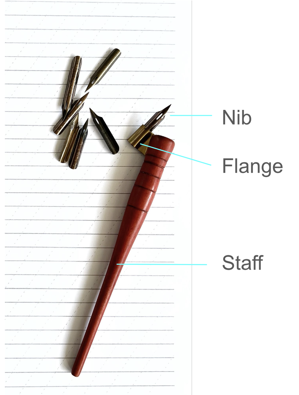 Pen Holders & Nib Angle — Maxie Calligraphy