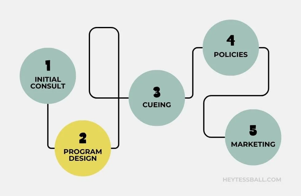 Trauma-Informed Coaching: Program Design (Part 2 of 5) — Hey Tess Ball ...