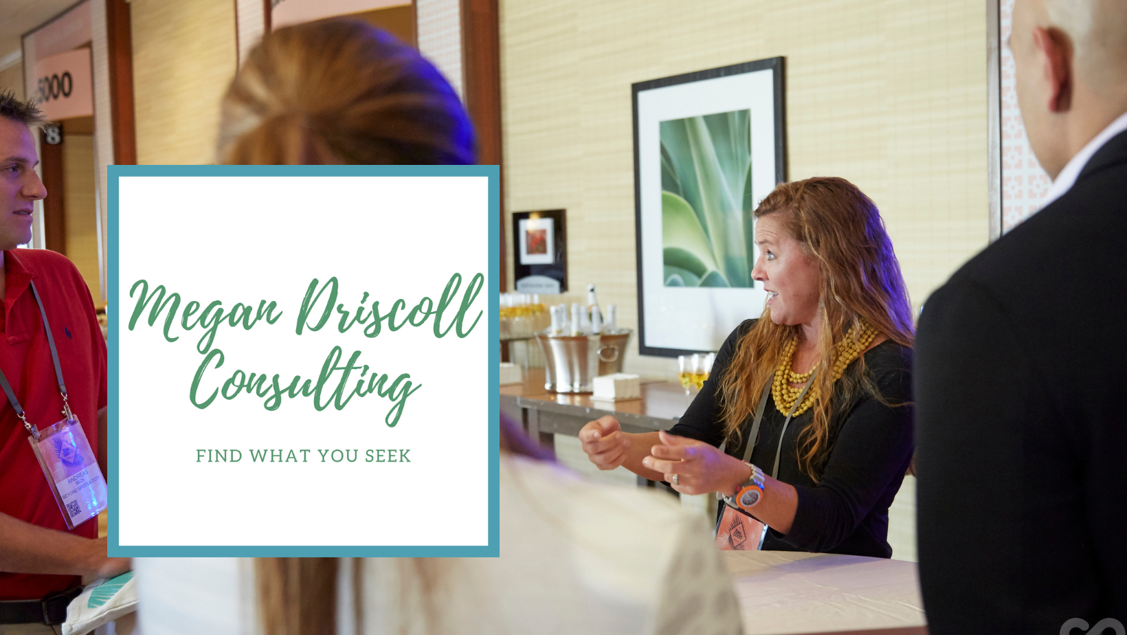 Megan Driscoll Consulting