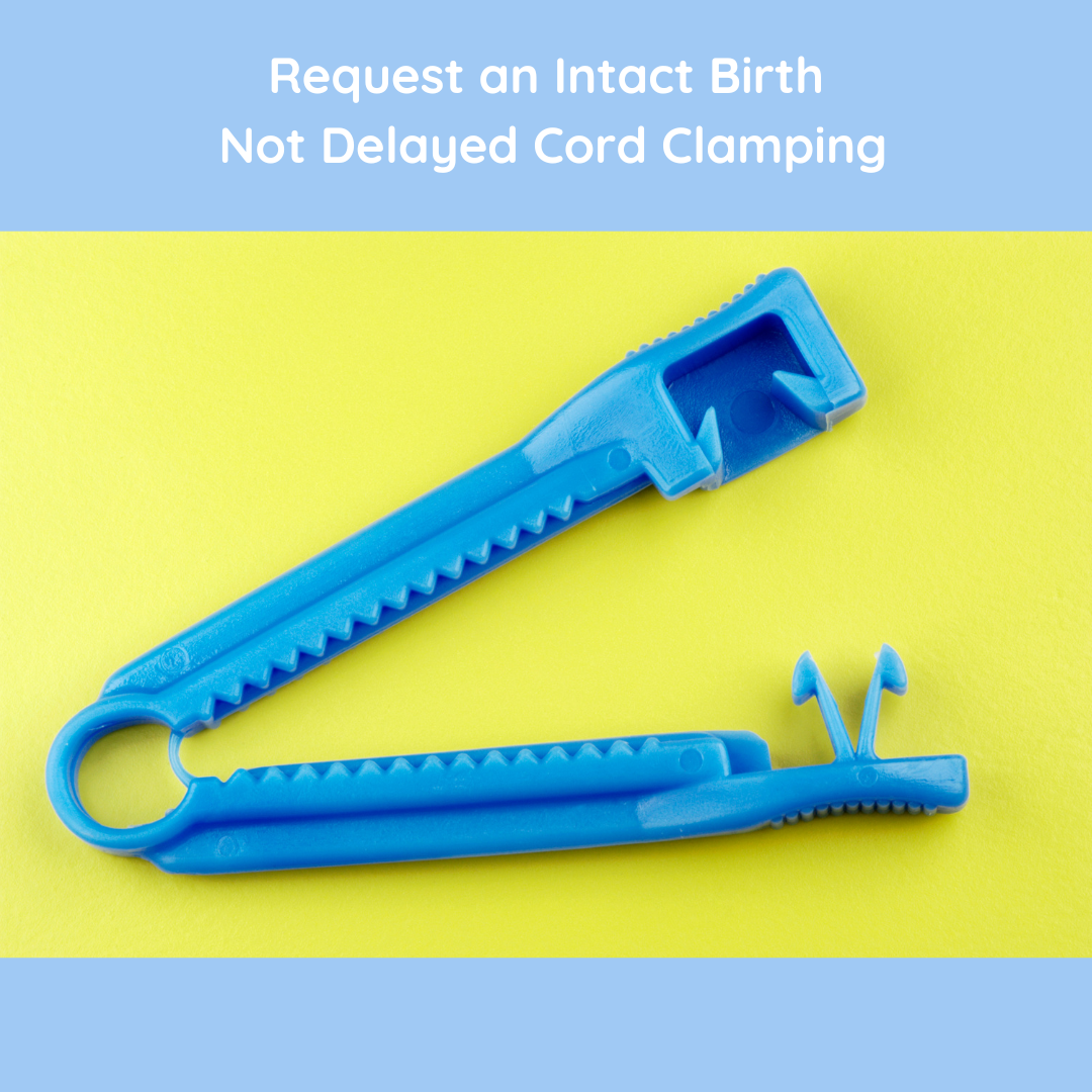 Delayed Cord Clamping - Ask for Intact Instead — GentleBirth