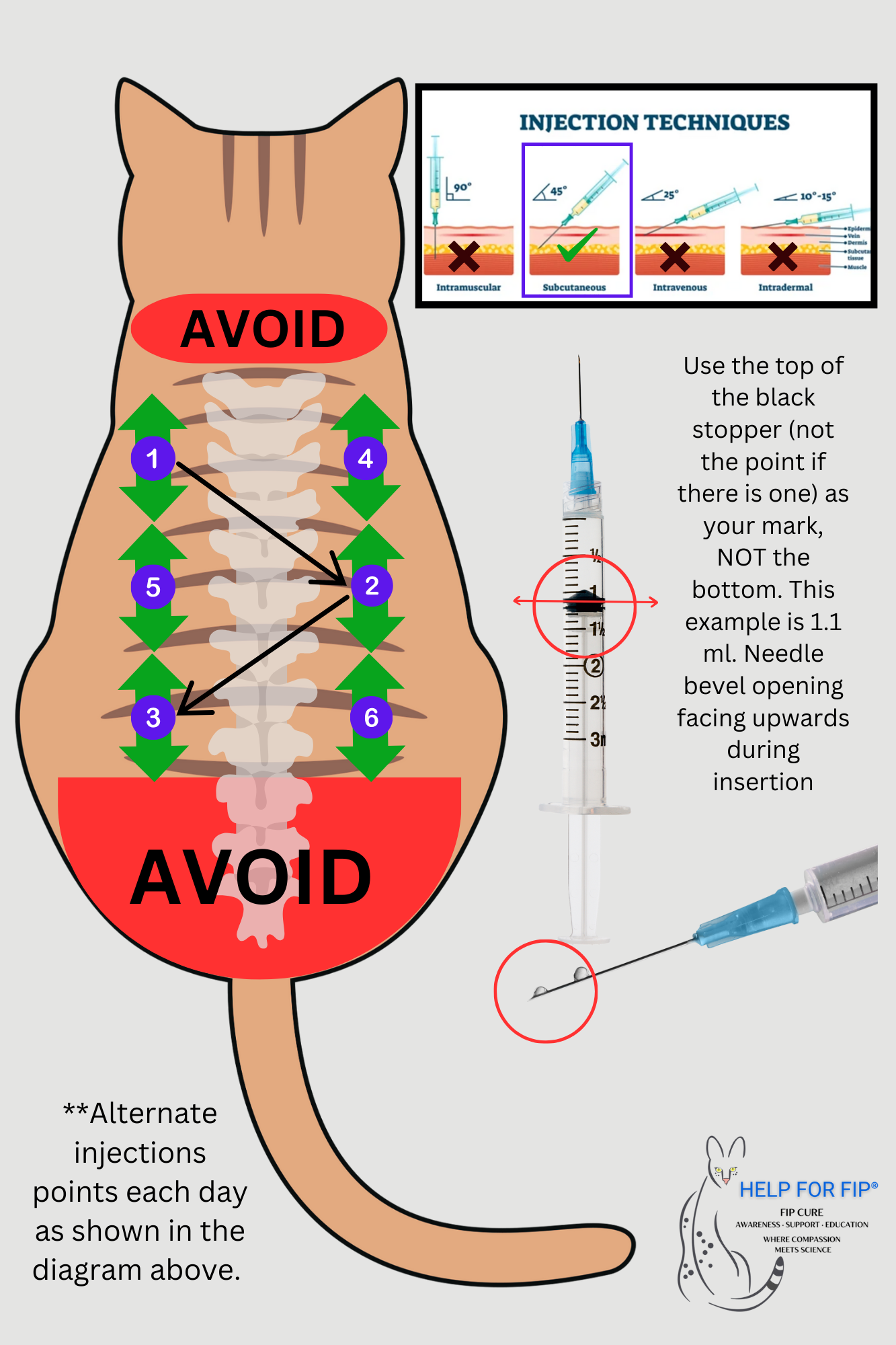 Helpful Tips and Videos To Treat Your FIP Cat — HELP FOR FIP® by Lunas ...