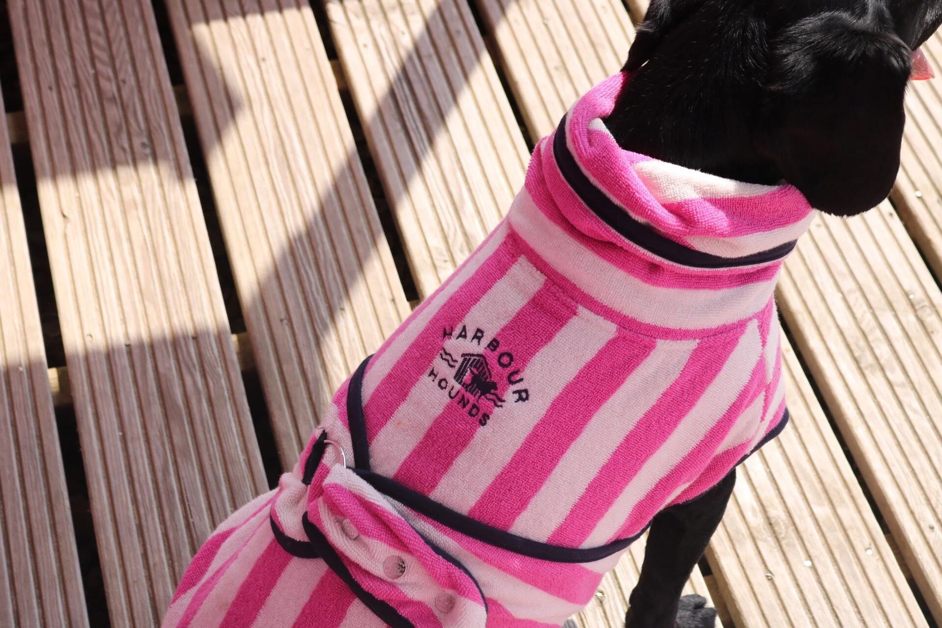 Harbour Hounds | Nautically Stylish Dog Robes & Accessories