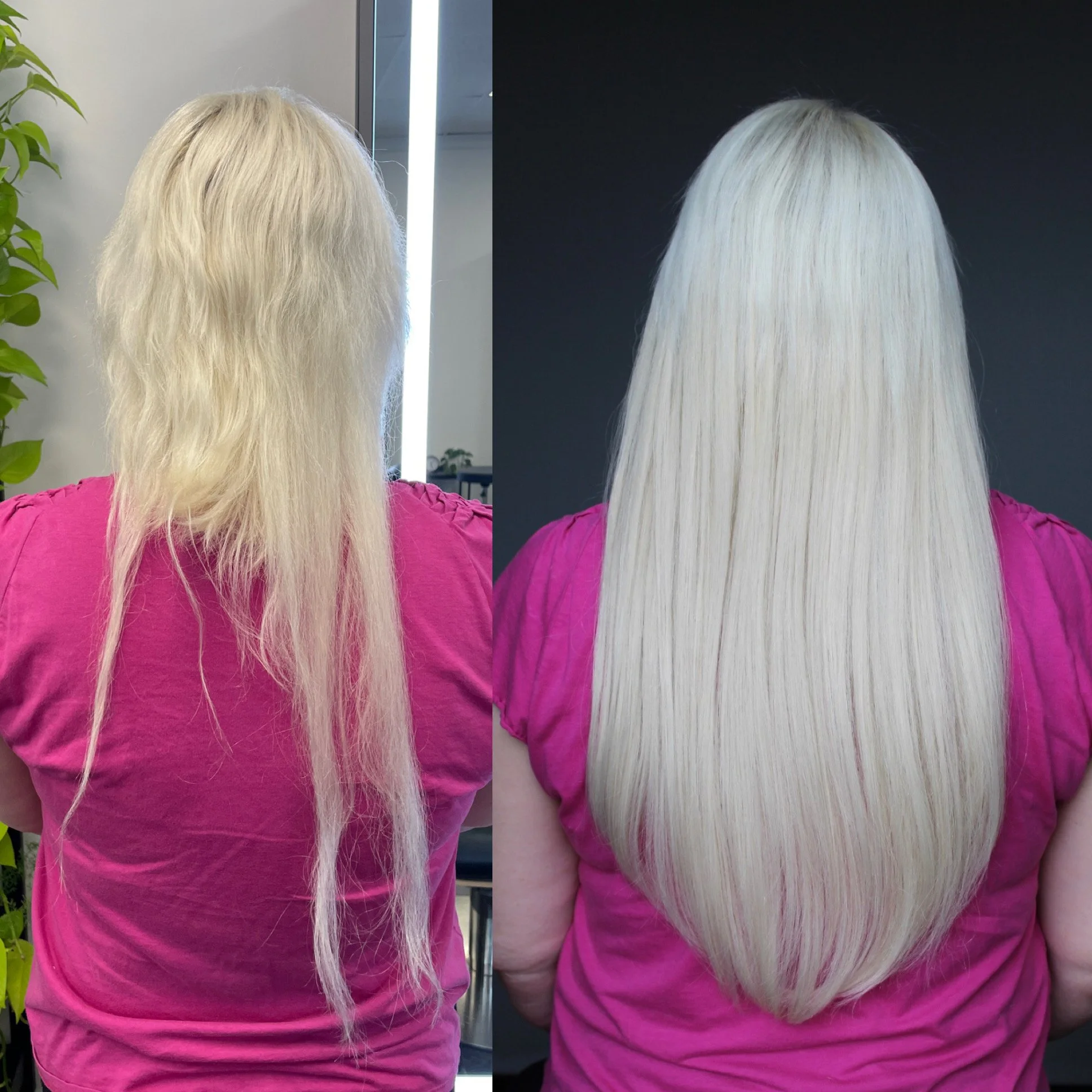 New Client — The Fox Salon