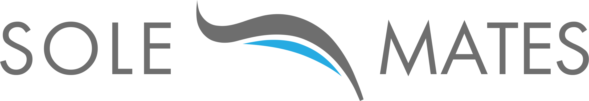 SOLE SUPPORTS