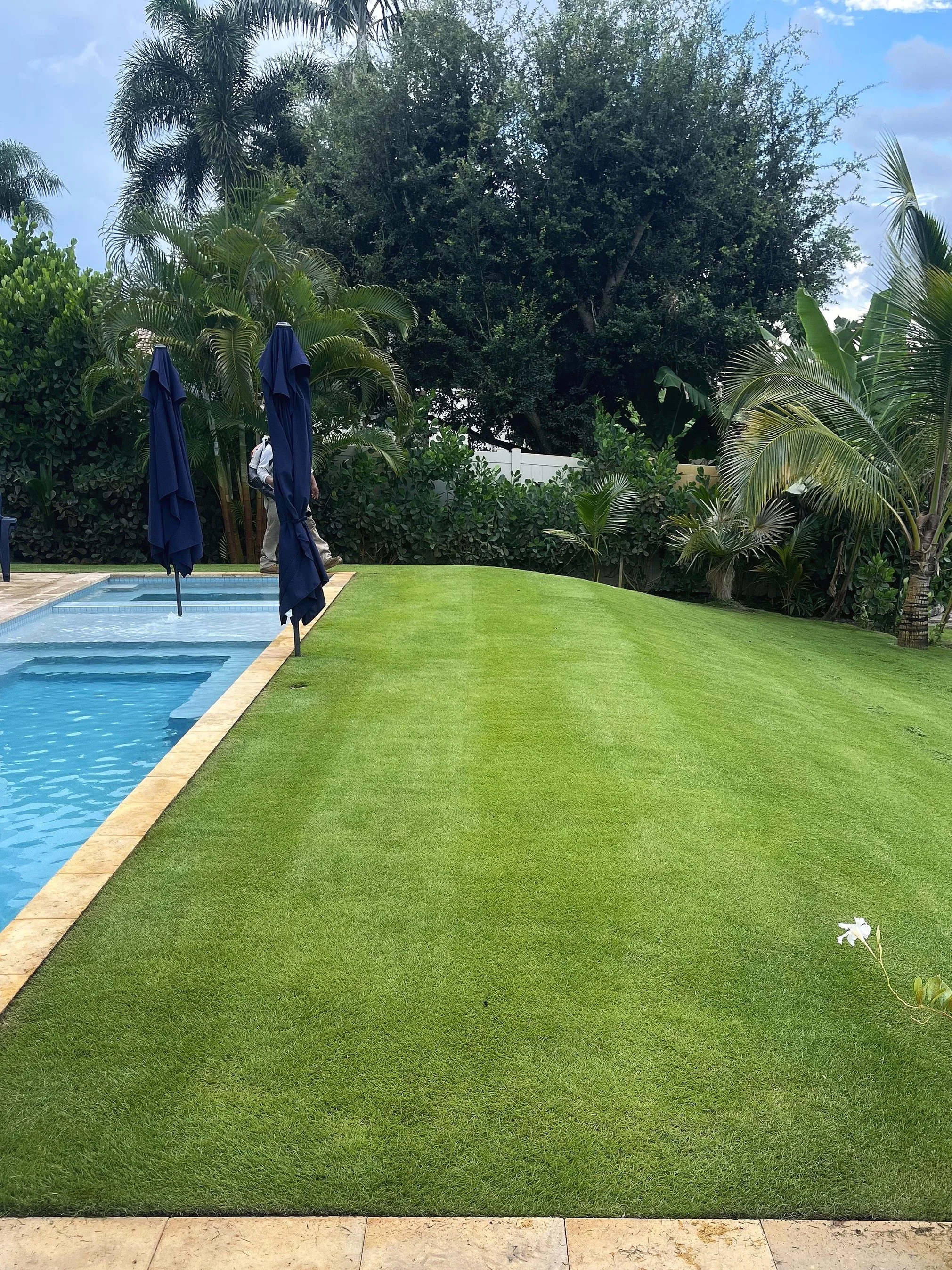 Prime Turf Management