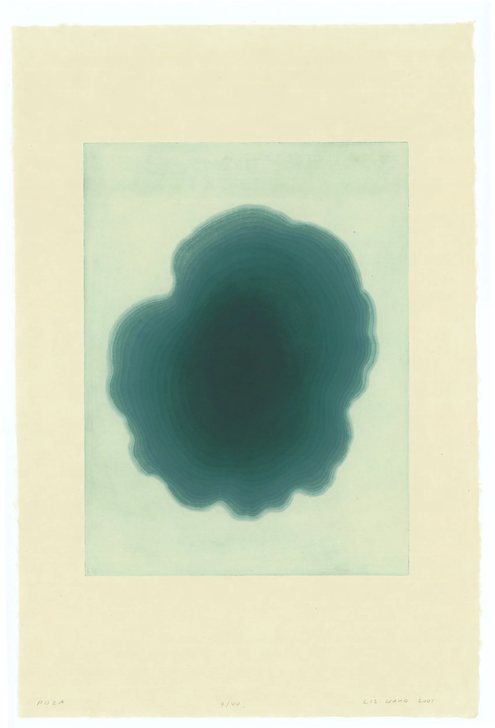 Flatbed File No. 4 "Poza" by Liz Ward — Flatbed Press