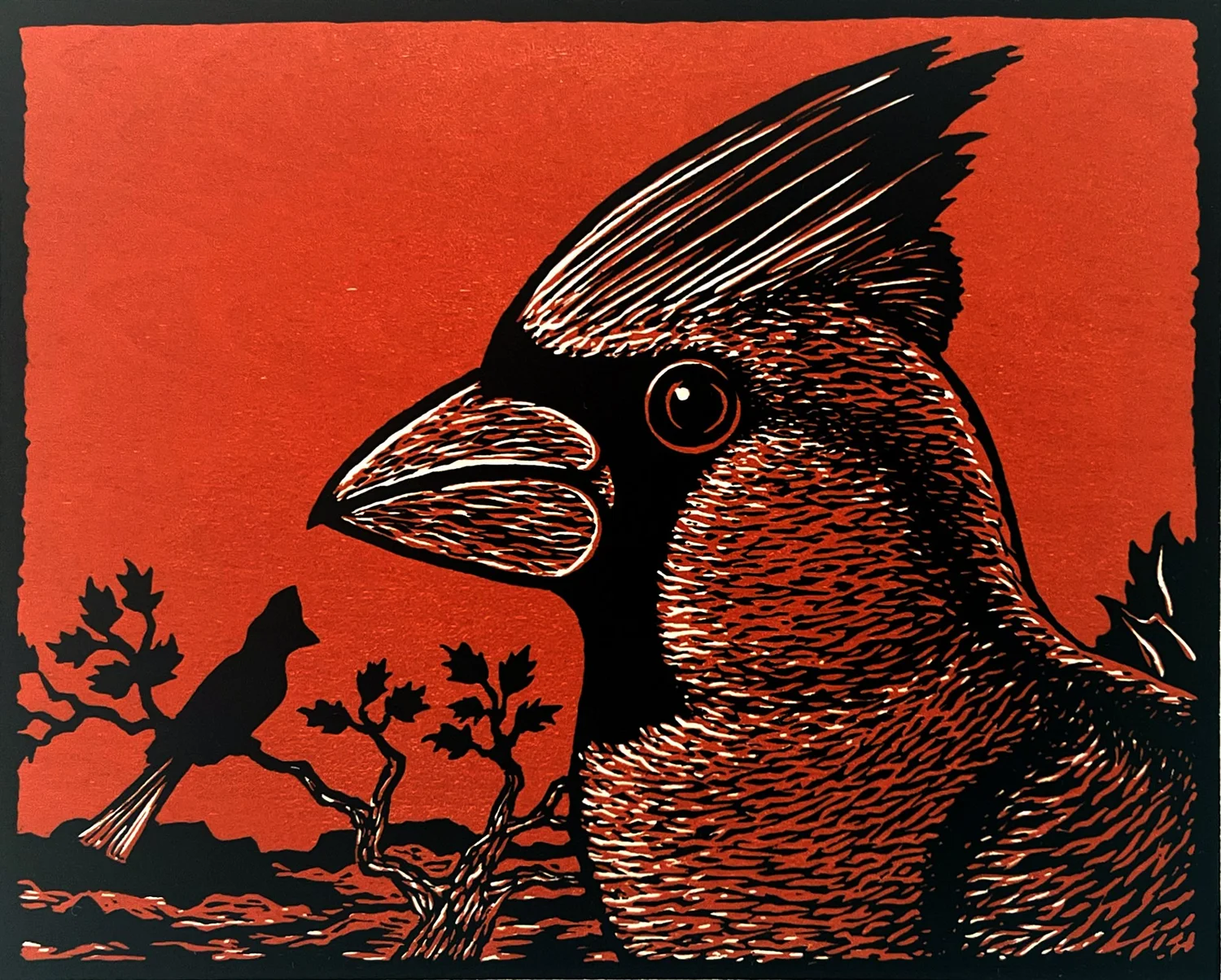 Seeing Red! David Everett Adds Cardinal to His Southwest Lexicon ...