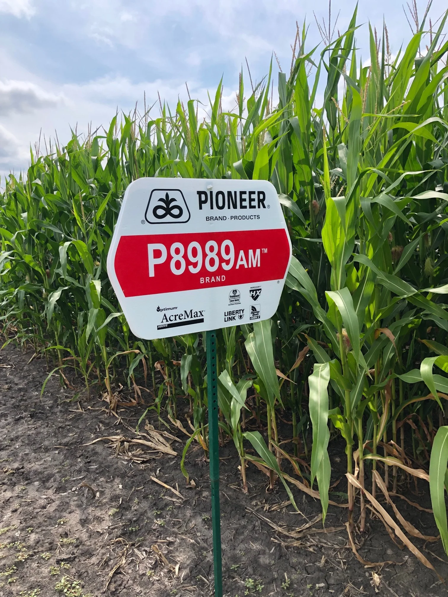 Pioneer Seed — Rush River Seed & Chemical