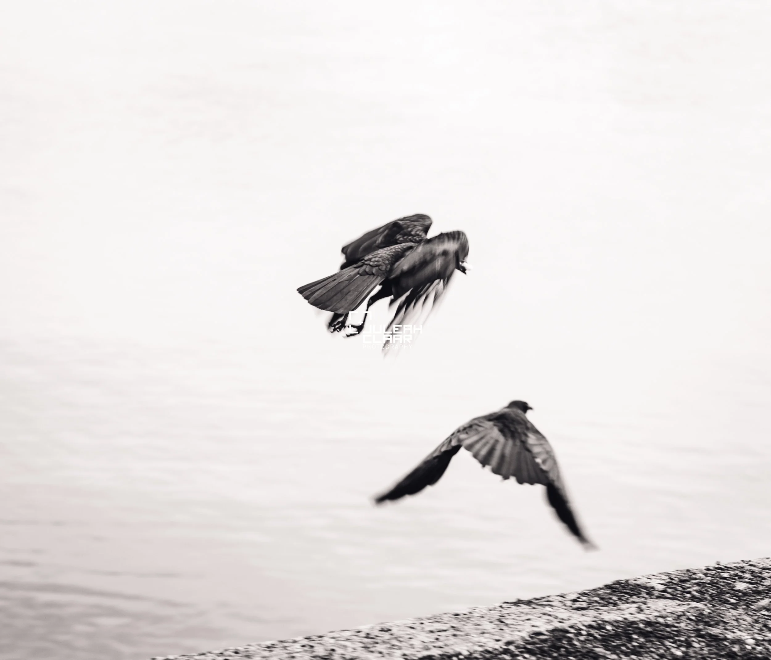 Minimalist — Juleah Claar Photography