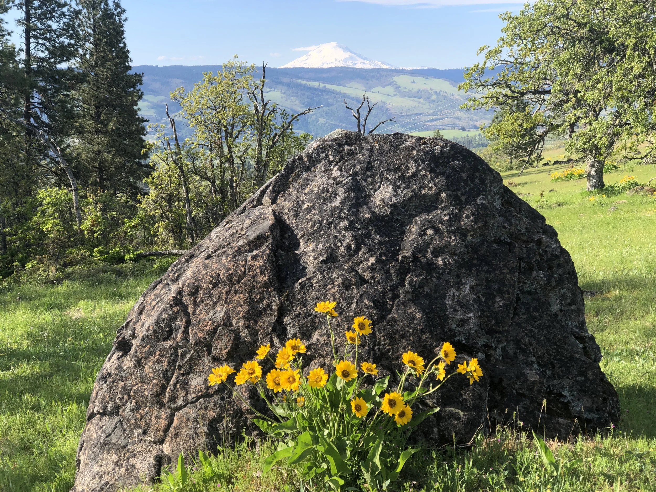 Great River Natural Burial