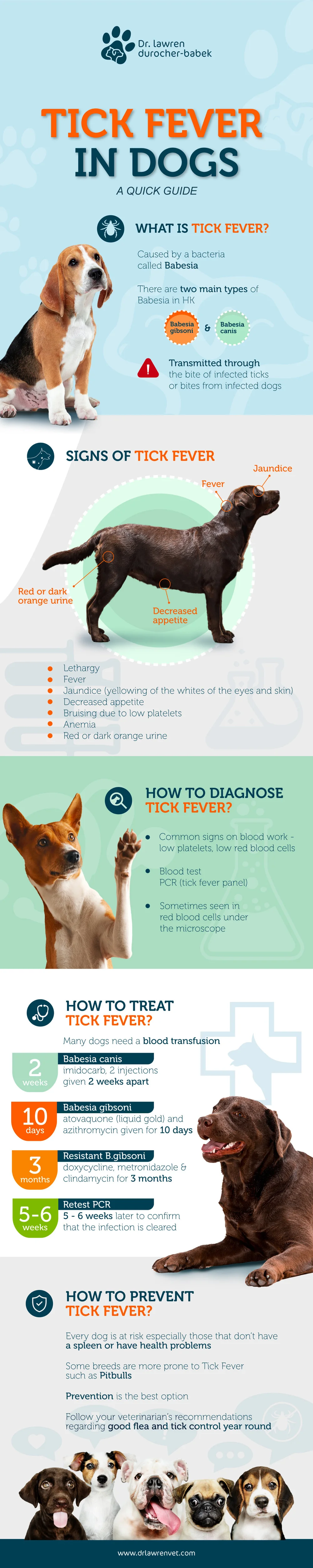 Can Doxycycline Treat Skin Infections In Dogs