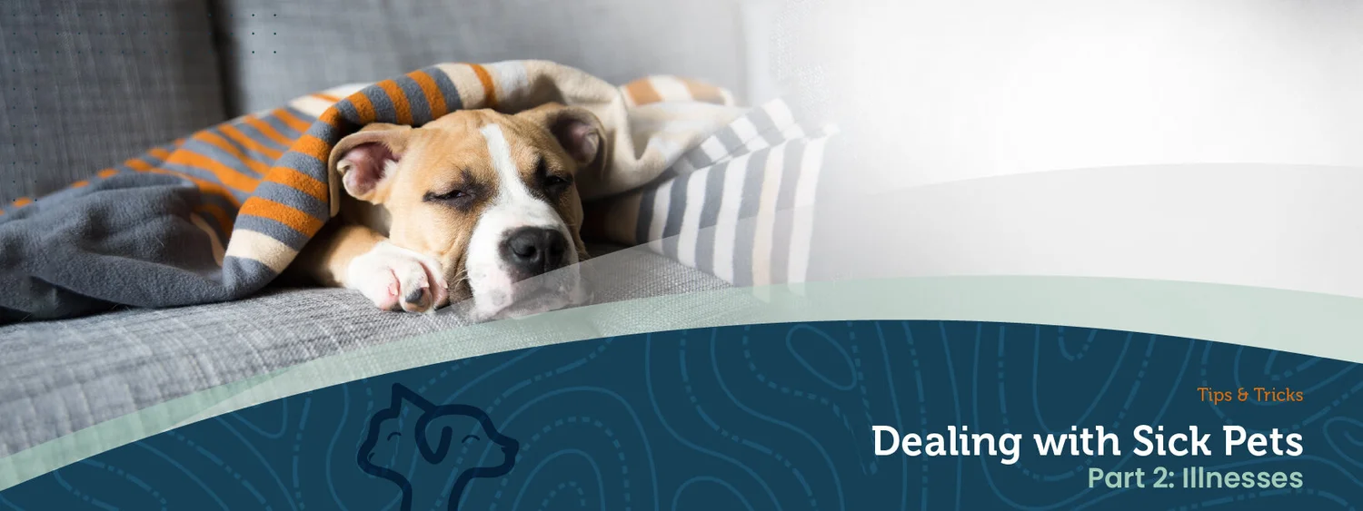 Tips and Tricks - Dealing with Sick Pets (Illness) — Dr. Lawren ...