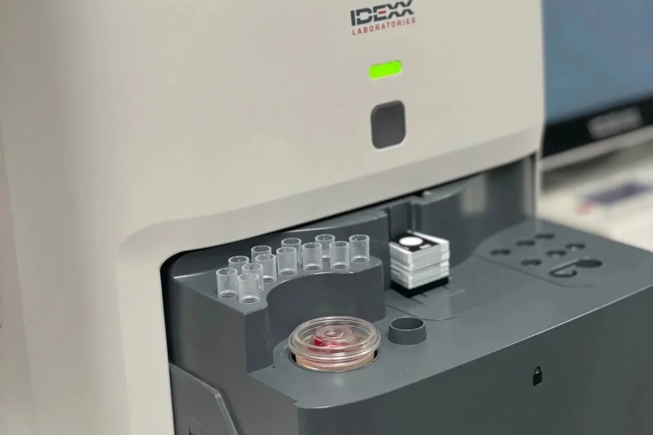 Behind the Scenes - Inside our New Lab for Blood & Urine Diagnostics ...