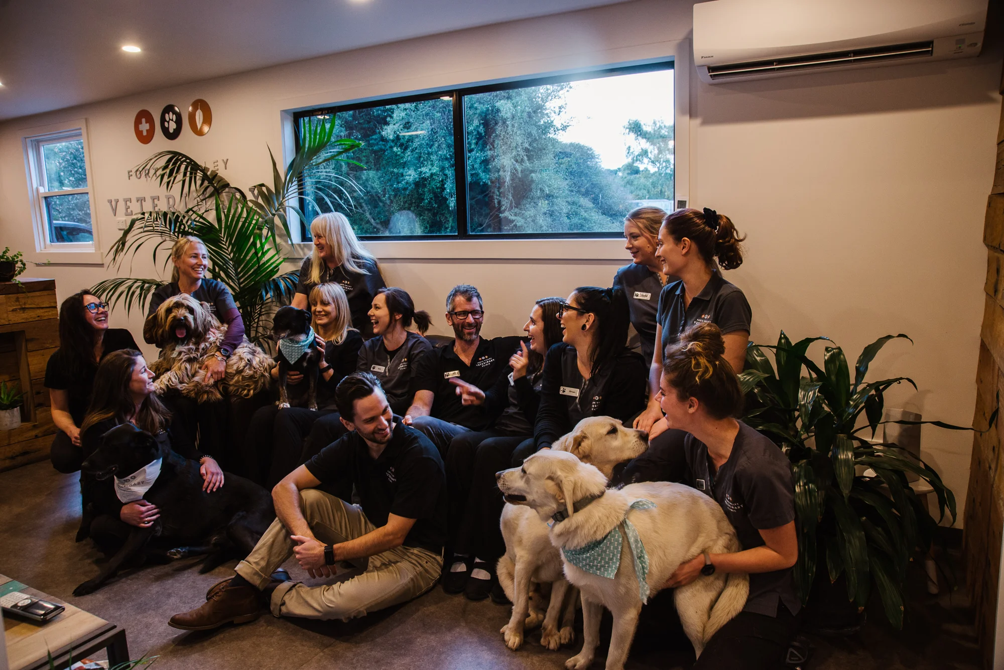 Our team — Forth Valley Vet Clinic