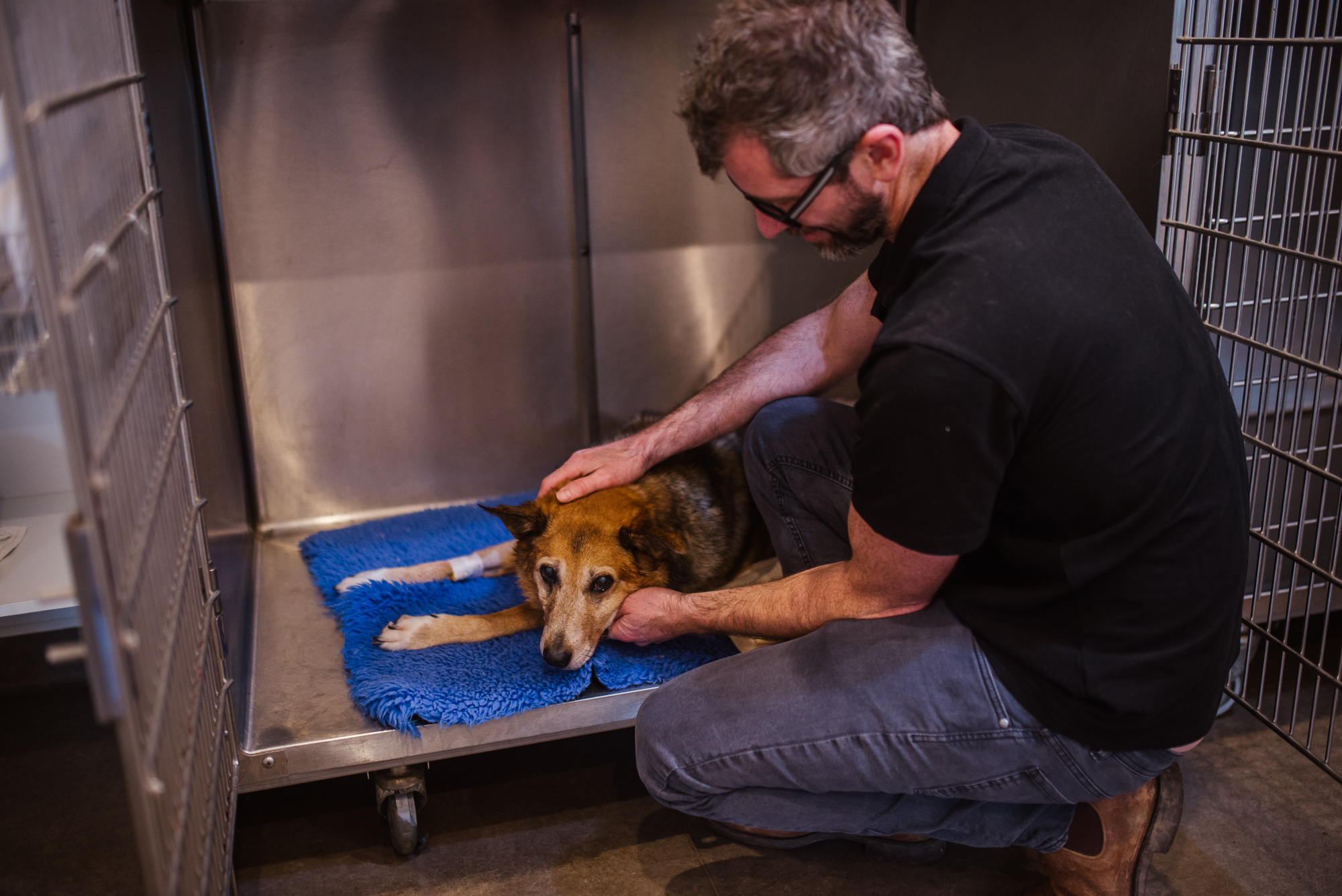 Our team — Forth Valley Vet Clinic