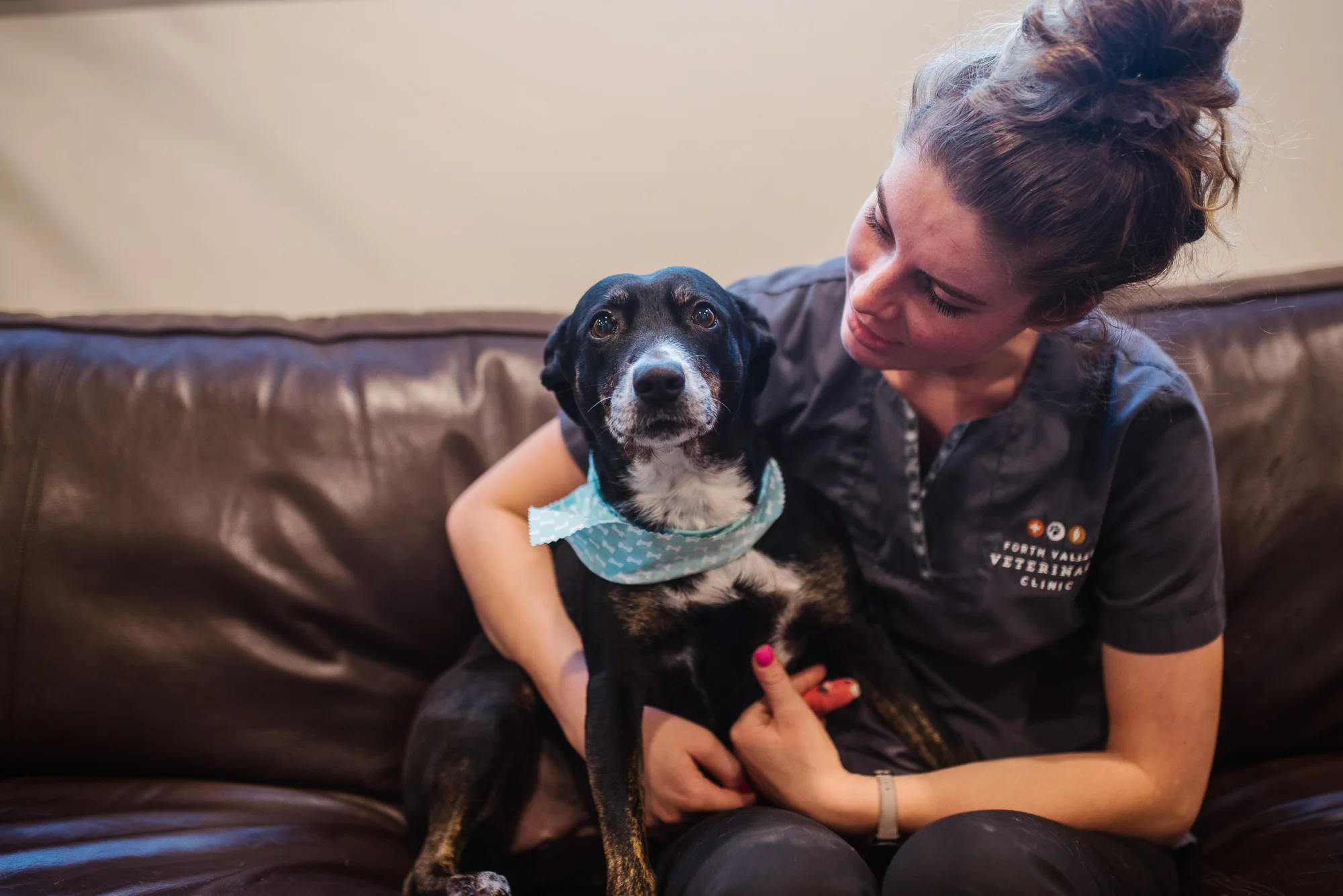 Our team — Forth Valley Vet Clinic