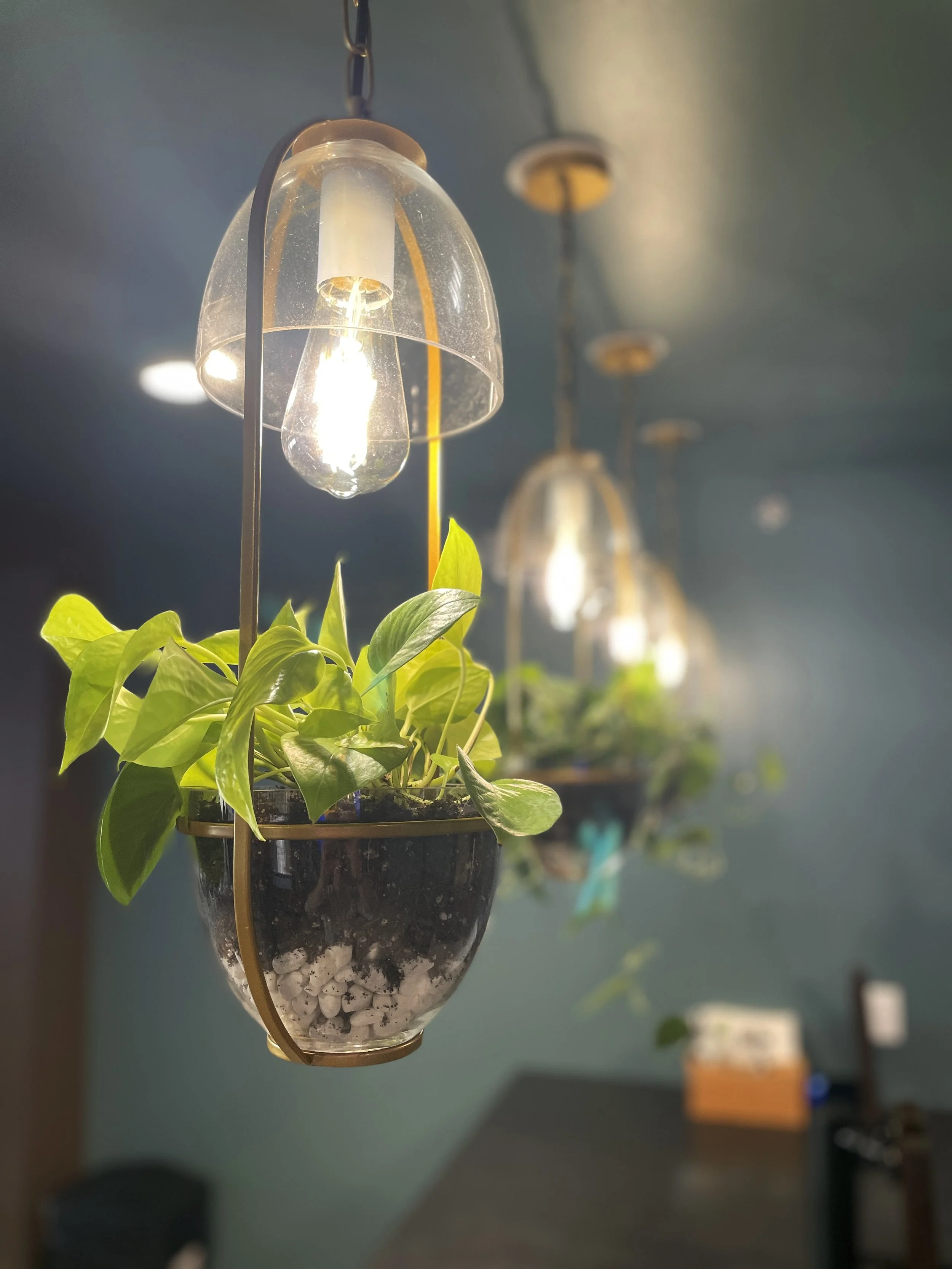 BELLWETHER TECHNOLOGY — GOAT