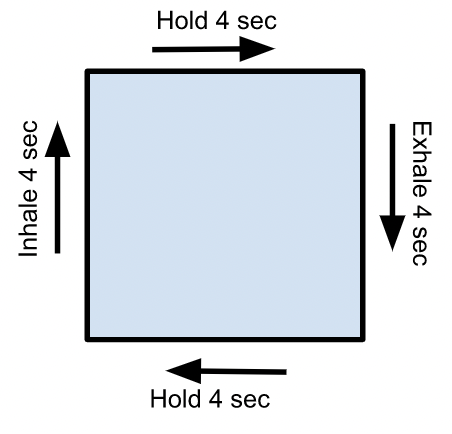 Breath Break: Box Breathing for Calm — Thrive Physical Therapy and ...