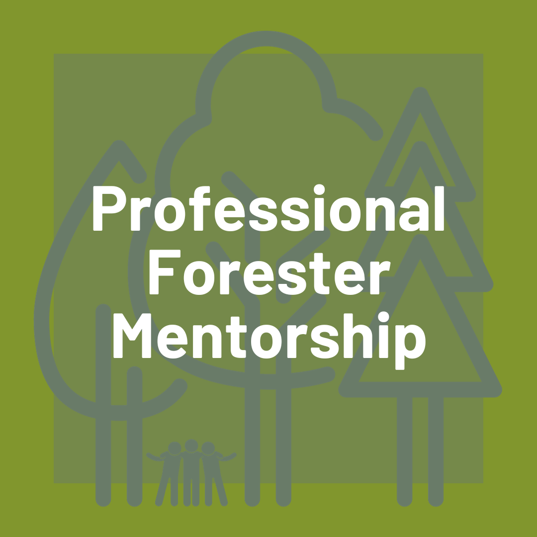 Growing Together Mentoring Scheme — Community Woodlands Association