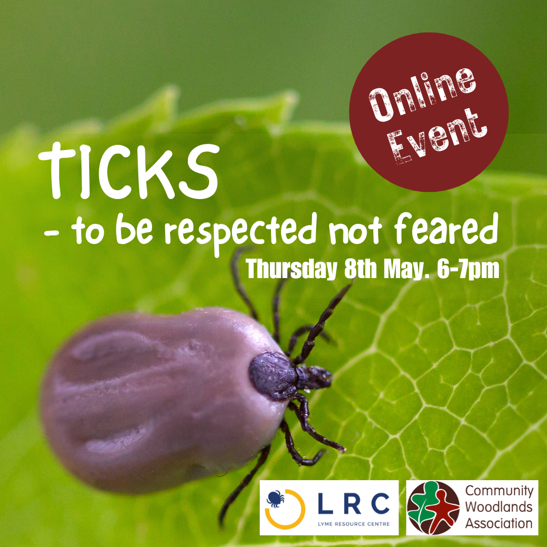 Ticks - to be respected not feared — Community Woodlands Association
