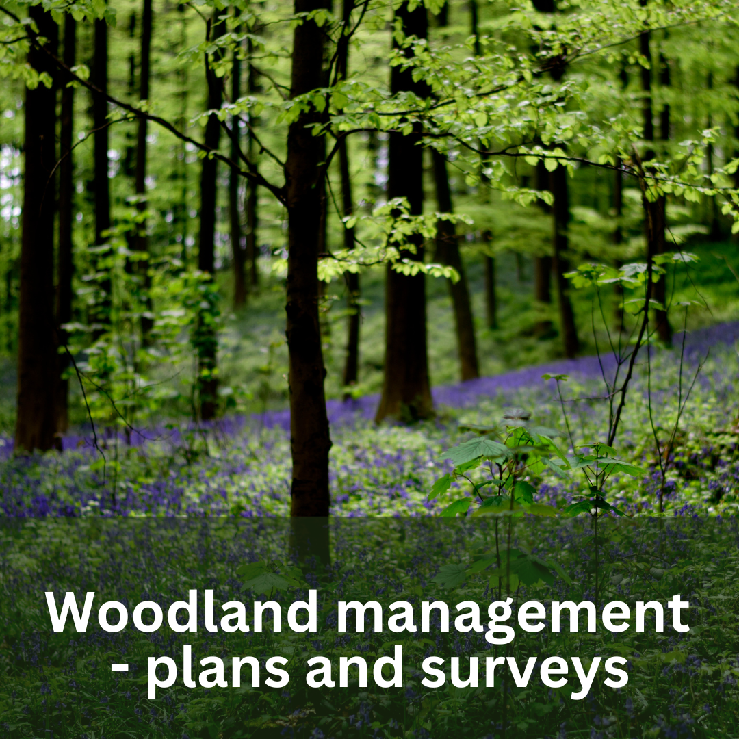Woodland management - plans and surveys — Community Woodlands Association