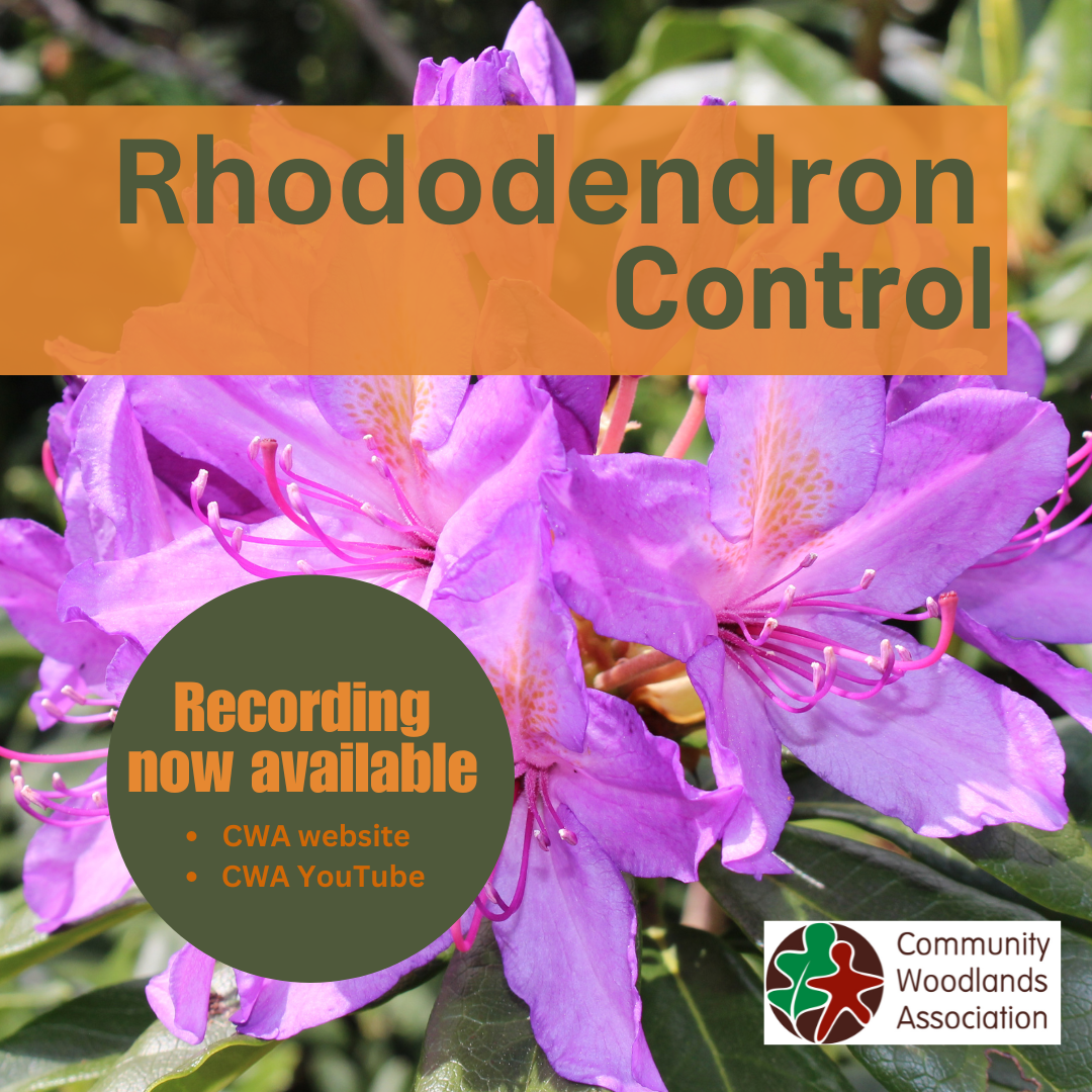 Rhododendron Control — Community Woodlands Association