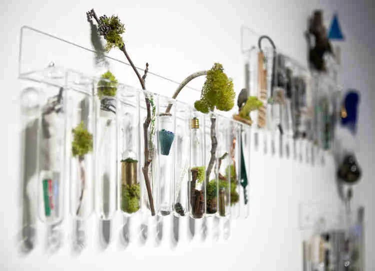 "Bearing Your Best Beast": An Interview with Artist Sarah Walko — Split ...