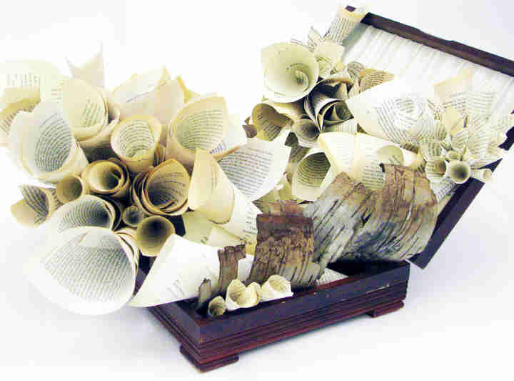 "Bearing Your Best Beast": An Interview with Artist Sarah Walko — Split ...