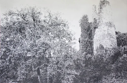 Tim Craven — The Arborealists — The Arborealists