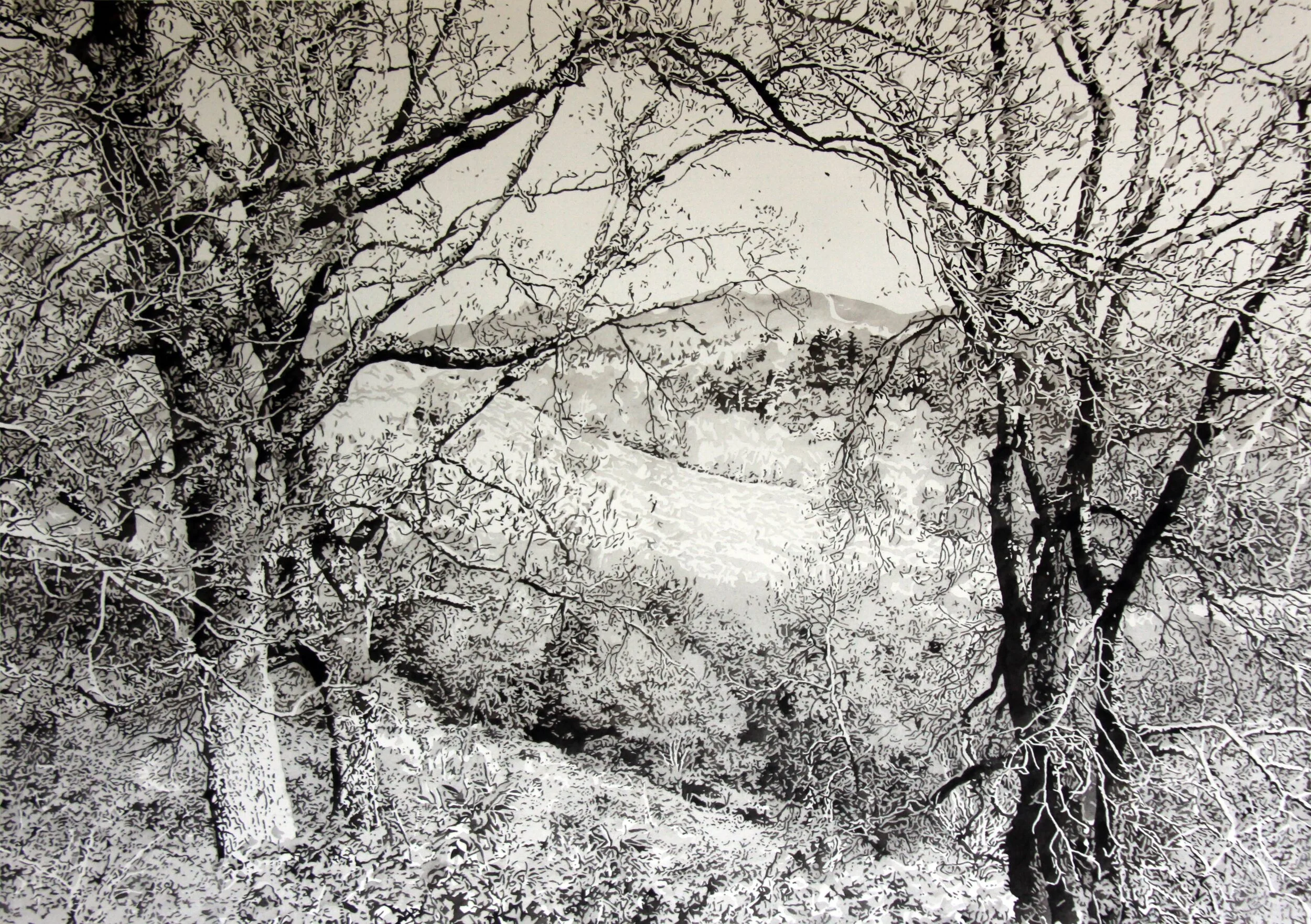 Tim Craven — The Arborealists — The Arborealists