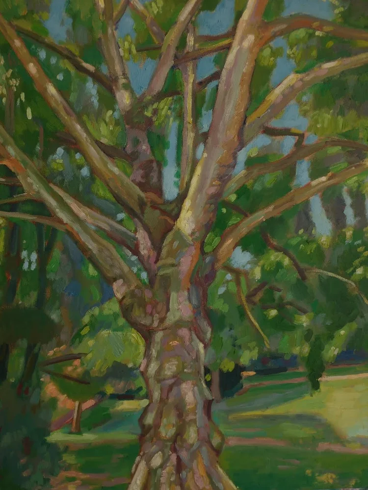 London Trees: The Arborealists — The Arborealists