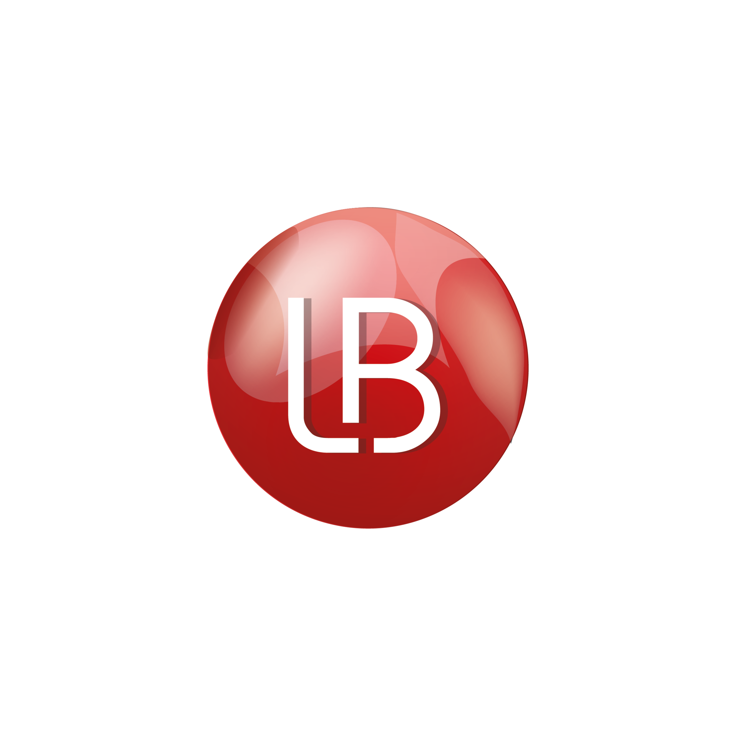 Life Builders Consultancy