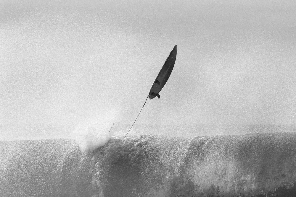 Joshua Bird