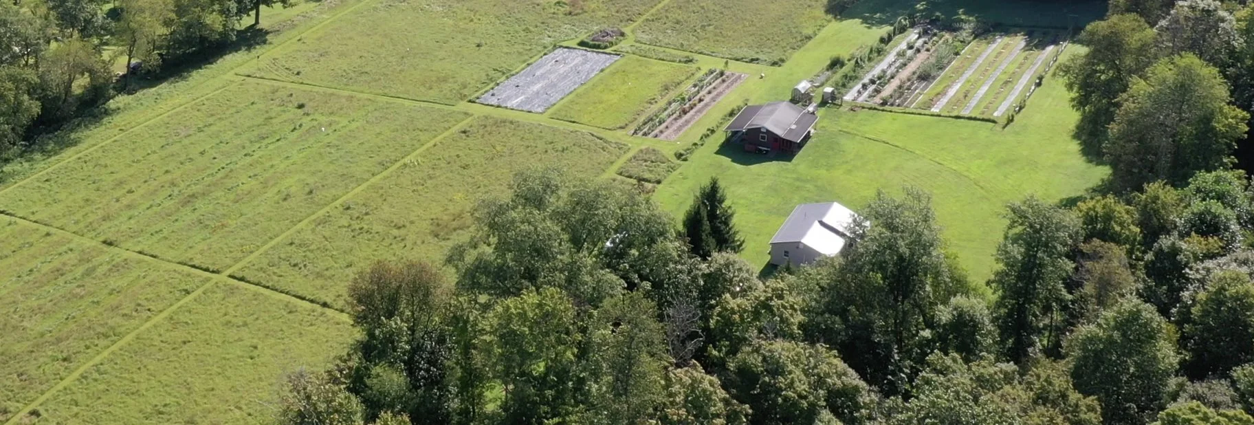 Stories from the Farm — Foggy Blossom Farm