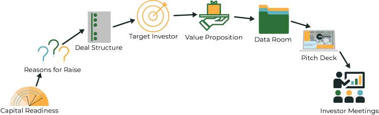 What We Do — Via Capital