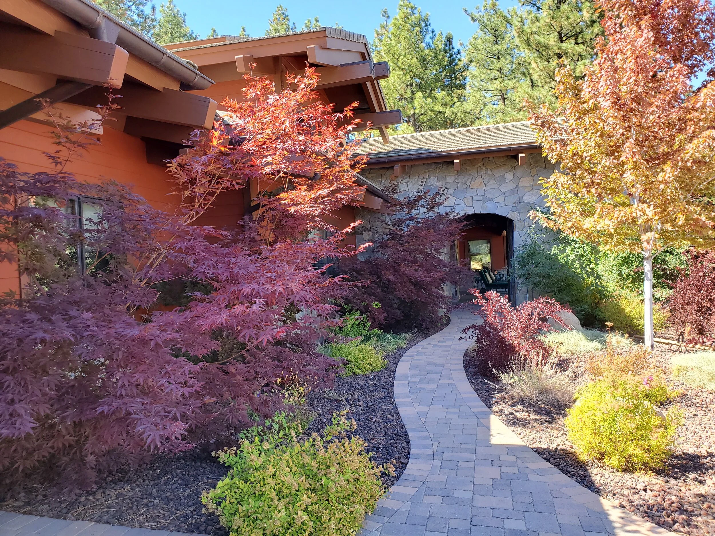 tomedisslandscape.com