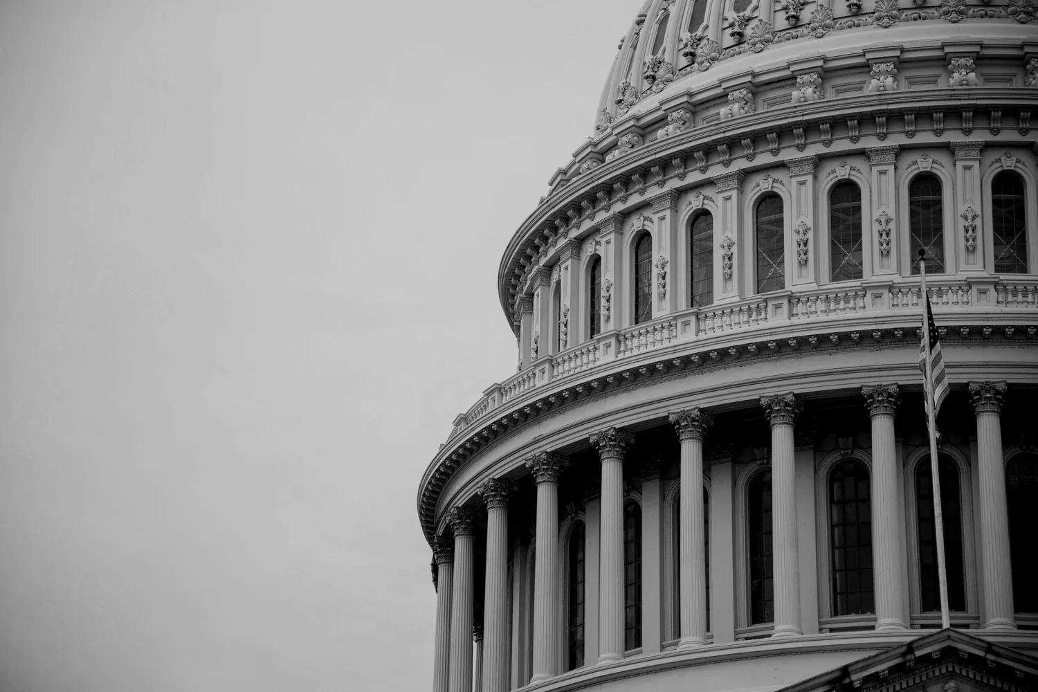 Justice Action Network