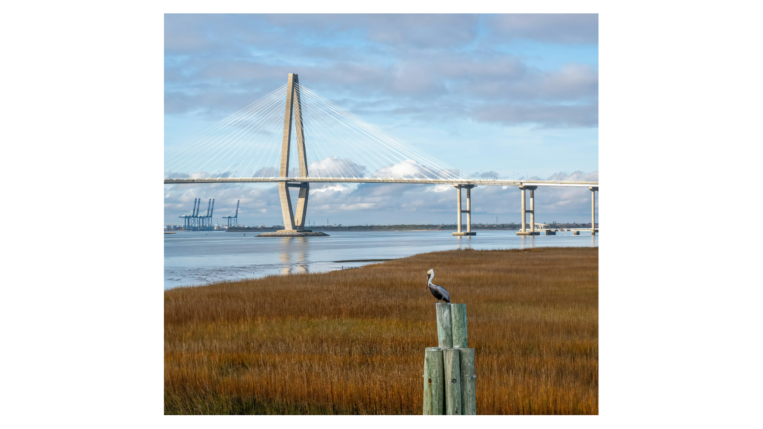 5 Reasons to Visit Shem Creek During Winter | Saltwater Cowboys ...