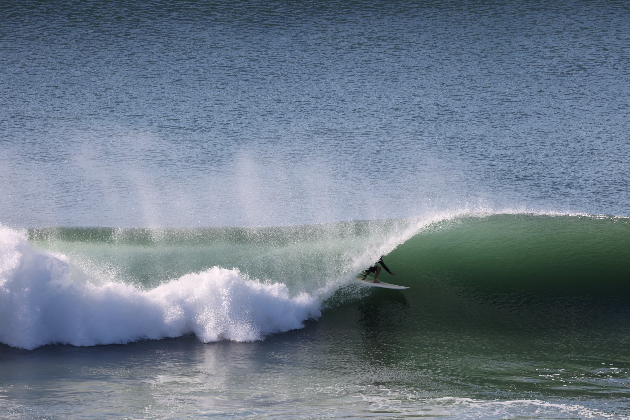 NEAL PURCHASE DESIGNS