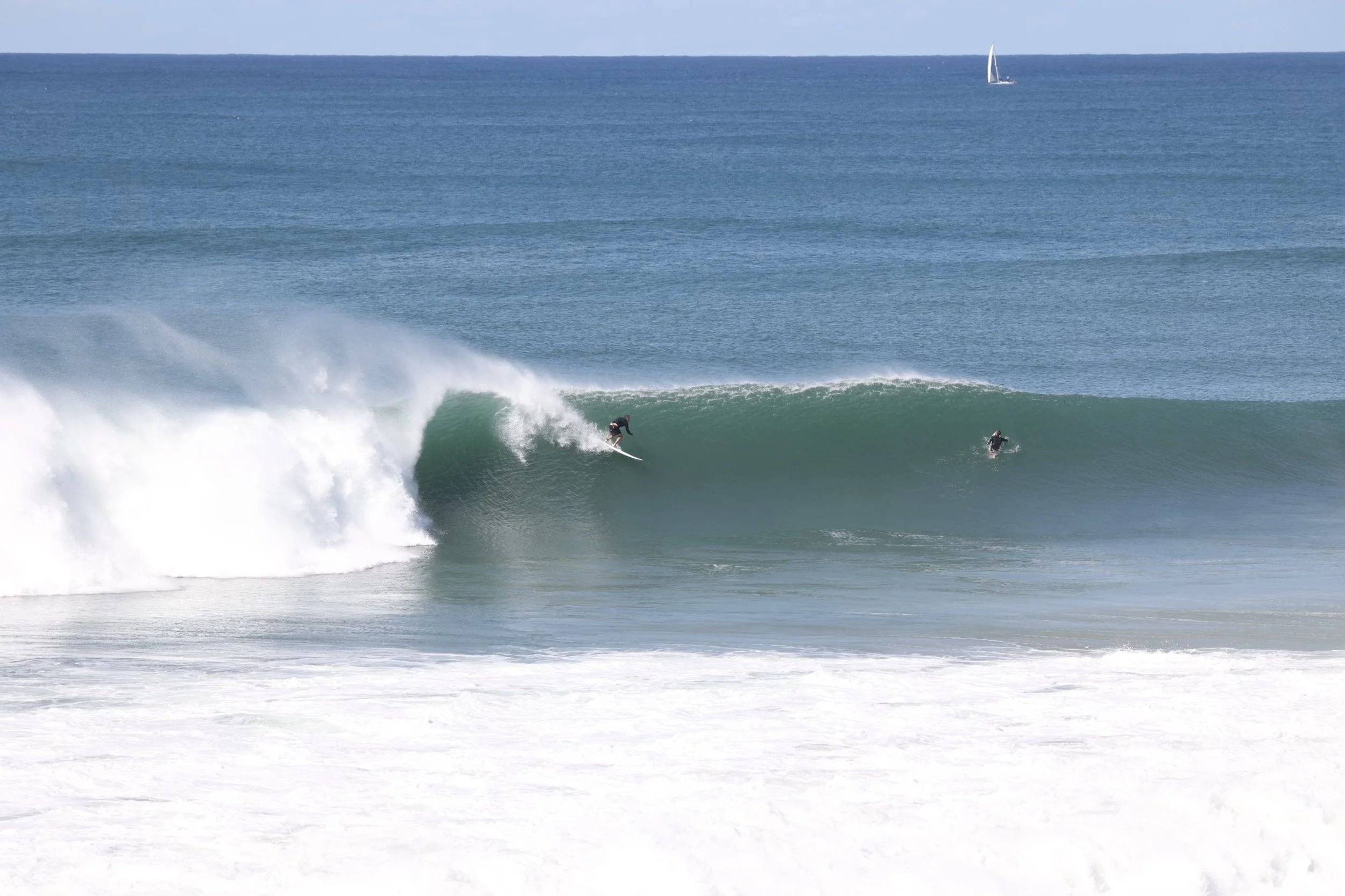 NEAL PURCHASE DESIGNS