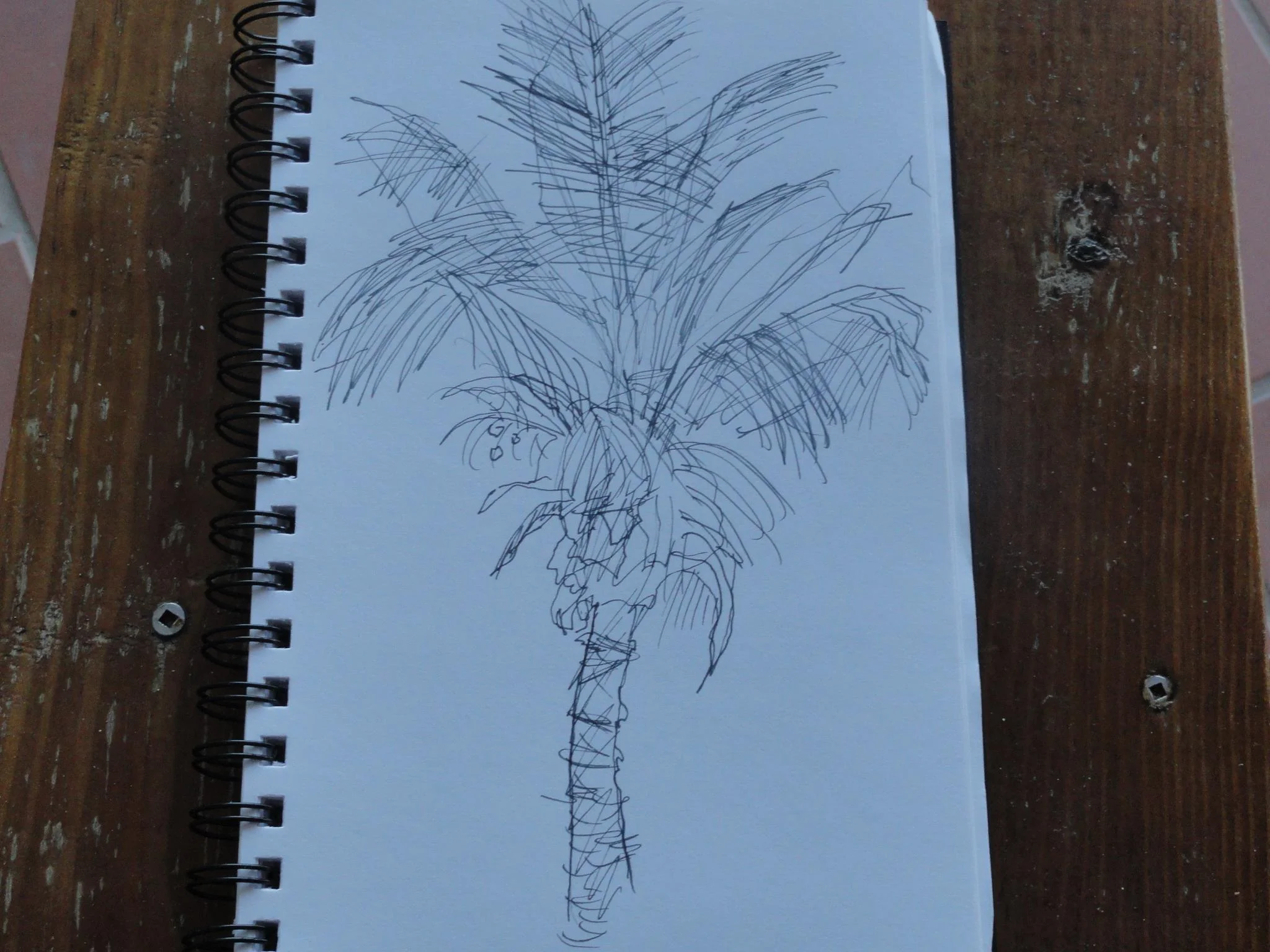 Puerto Rican Drawings