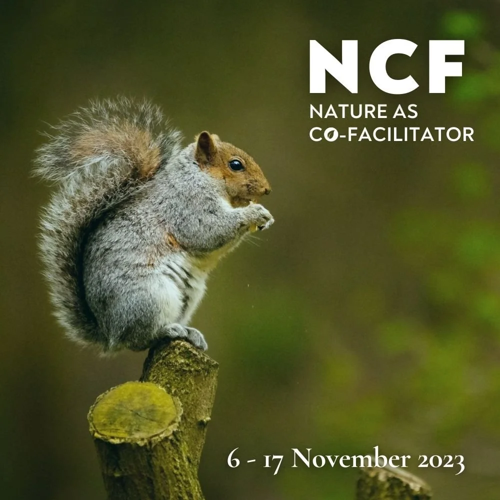 Online Booking for Coaching Outdoors events — coachingoutdoors.com