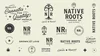 Native Roots Marijuana Dispensary — Vicarel Studios