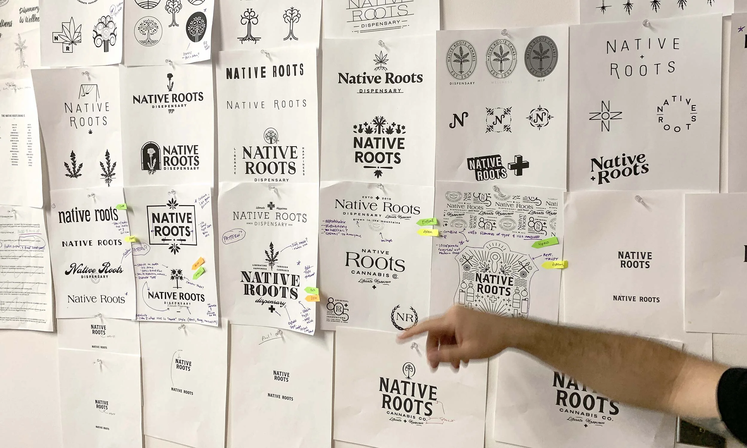 Native Roots Marijuana Dispensary — Vicarel Studios