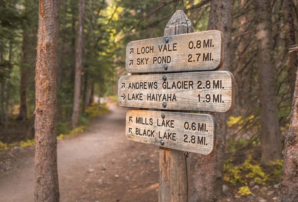 The Ultimate National Park Font Bundle — Vicarel Studios