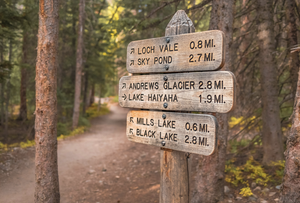 The Ultimate National Park Font Bundle — Vicarel Studios