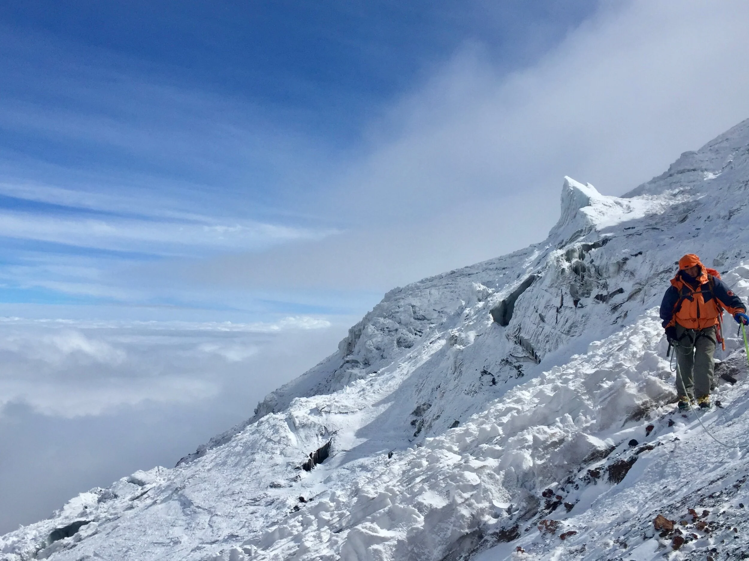 Healthy High Performance Teams — Wells Performance