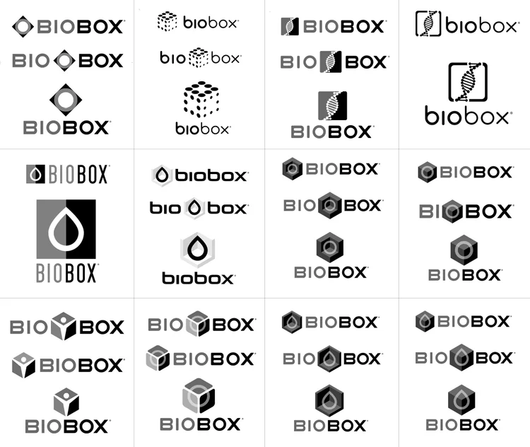 TheBioBox: A Complete Brand Identity Design Project — UI/UX & Web ...