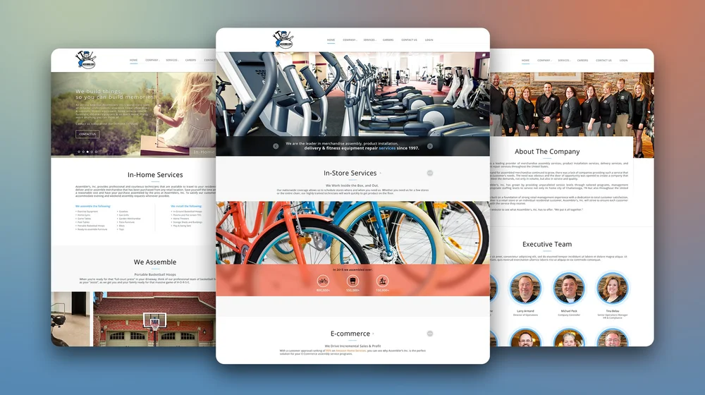 Website Design Portfolio — The Skins Factory, an award-winning UI/UX ...